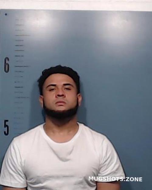 WILSON SKYLER CHRISTOPHER 01/04/2021 - Taylor County Mugshots Zone