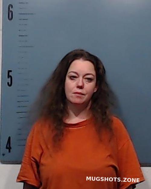 GIBSON LISA RENEE 01/09/2021 - Taylor County Mugshots Zone