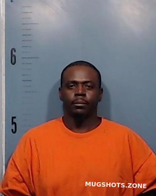 REED GARY LEE 01/14/2021 - Taylor County Mugshots Zone