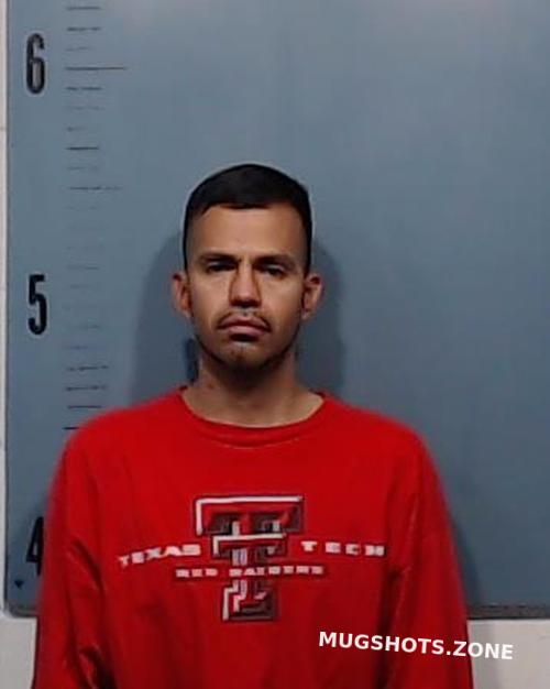 ESTRADA HECTOR JAMES 01/19/2021 - Taylor County Mugshots Zone