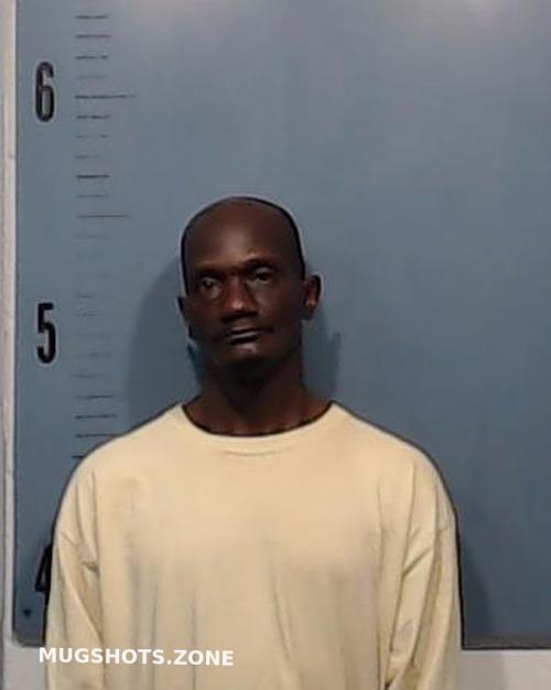 WILLIAMS RODNEY ALLEN 01/23/2021 - Taylor County Mugshots Zone