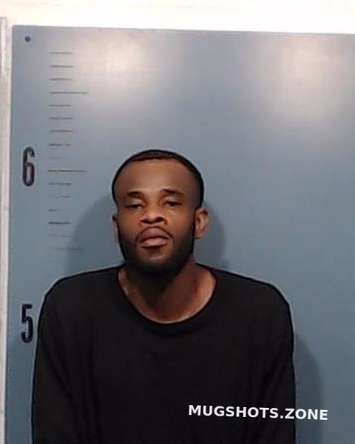 WILLIAMS TRAVIS JR. 01/31/2021 - Taylor County Mugshots Zone