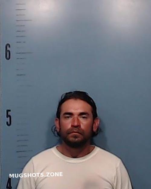 DAVILA STEVEN MICHAEL 02/04/2021 - Taylor County Mugshots Zone