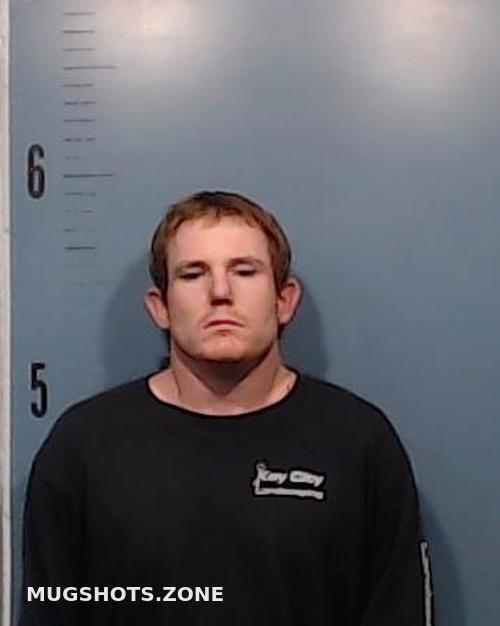 REEVES KYLE DEWAYNE 02/08/2021 - Taylor County Mugshots Zone