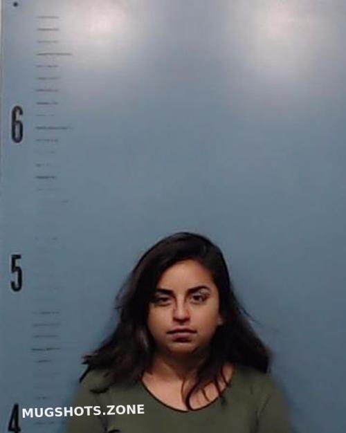 ESTRADA MARISELA MONIQUE 02/17/2021 - Taylor County Mugshots Zone