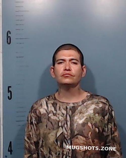 MEYER DALE LEWIS JR. 02/25/2021 - Taylor County Mugshots Zone