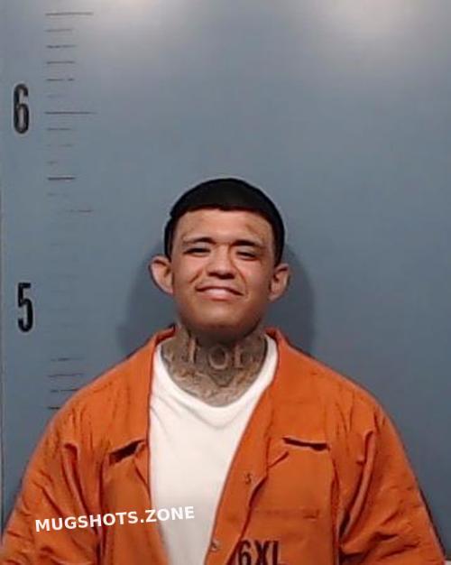 PEREZ RUBEN IVAN 03/02/2021 - Taylor County Mugshots Zone