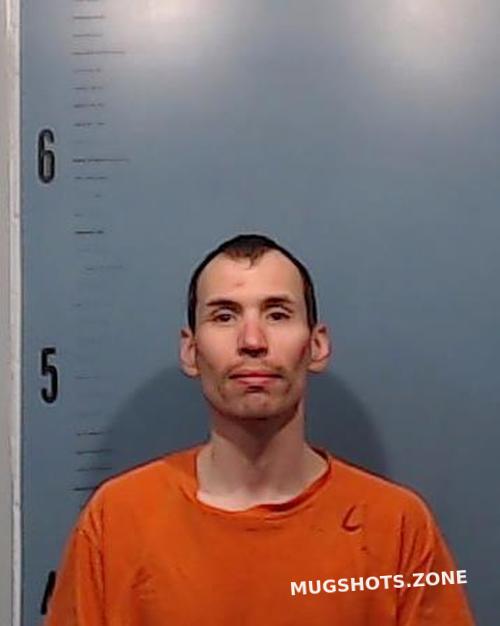 VERNER ALEXANDER JULIAN 03/19/2021 - Taylor County Mugshots Zone