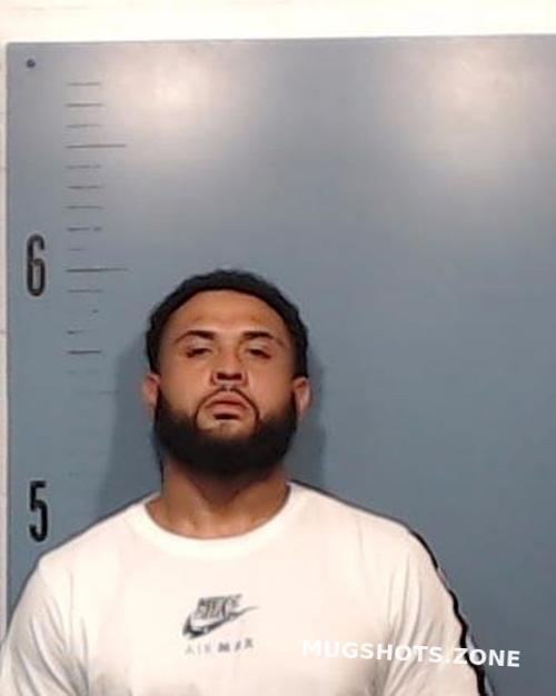 WILSON SKYLER CHRISTOPHER 03/31/2021 - Taylor County Mugshots Zone