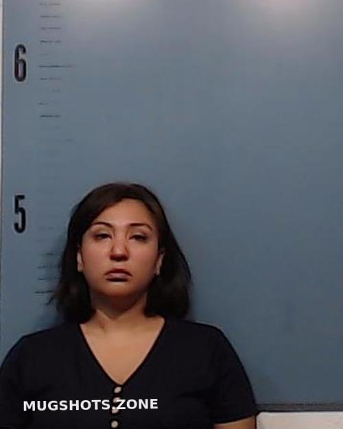 FLORES STEFANIE ARISPE 04/25/2021 - Taylor County Mugshots Zone