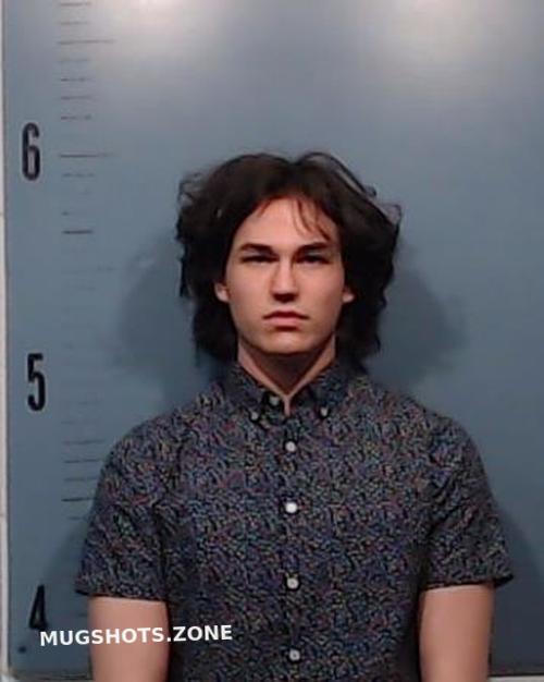 ROLLINSON COLE ASHLEY 04/30/2021 - Taylor County Mugshots Zone