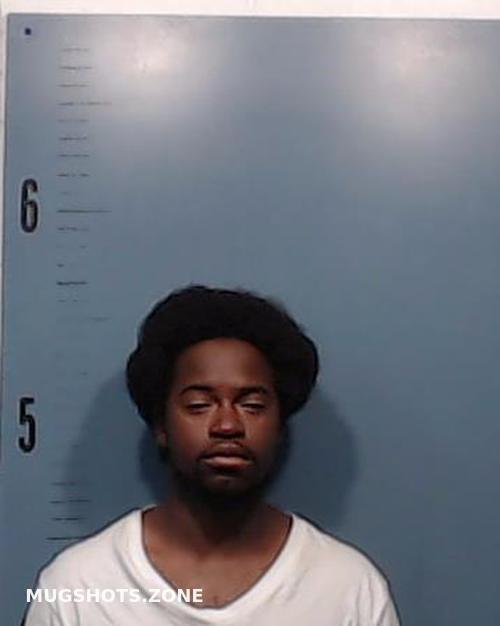 RAY TERRENCE ORLANDO 05/14/2021 - Taylor County Mugshots Zone