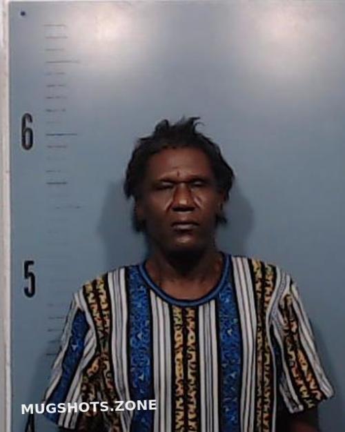 RIGGINS RONALD RAY 05/16/2021 - Taylor County Mugshots Zone