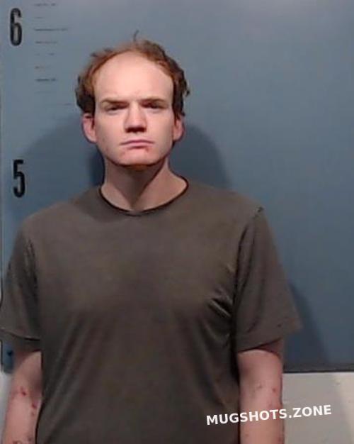 MEREDITH BRODY WAYNE 05/18/2021 - Taylor County Mugshots Zone