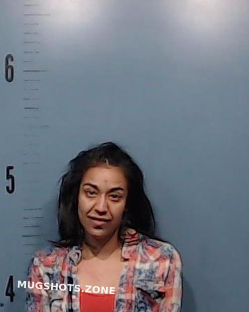 SOLIS VICTORIA MARIE 05/27/2021 - Taylor County Mugshots Zone