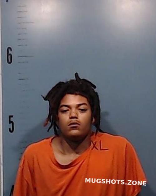 MCGEE DRAYSON MALIQUE 06/05/2021 - Taylor County Mugshots Zone