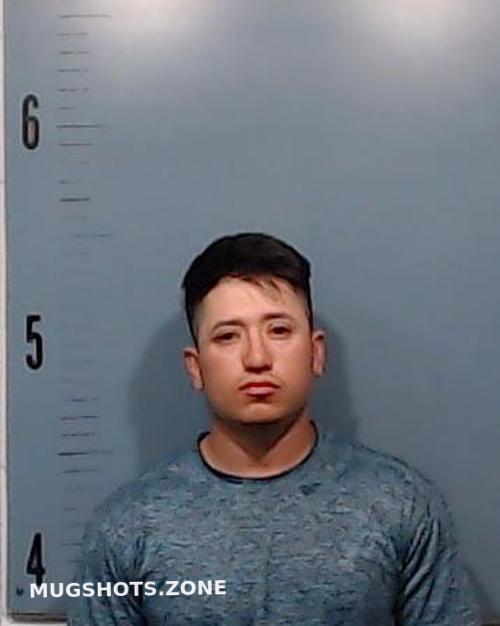 BARRIOS NICOLAS 06/06/2021 - Taylor County Mugshots Zone