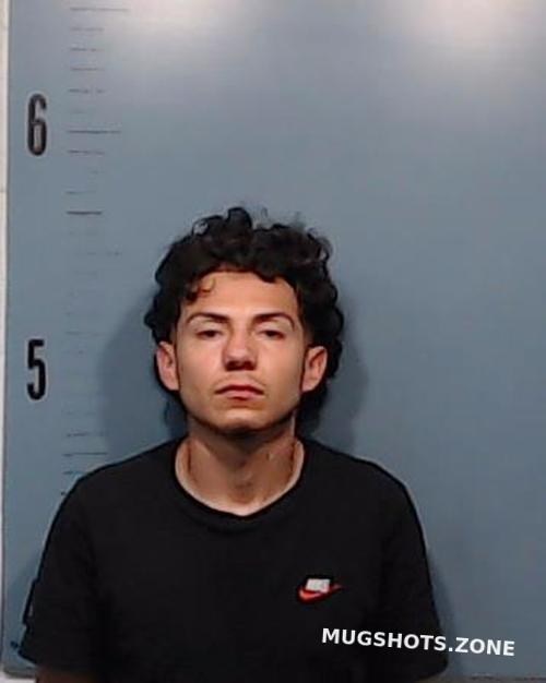 SOLIS MARCUS NATHANIEL 06/13/2021 - Taylor County Mugshots Zone