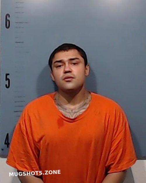 ARISPE ANTON ANDRES 06/22/2021 - Taylor County Mugshots Zone