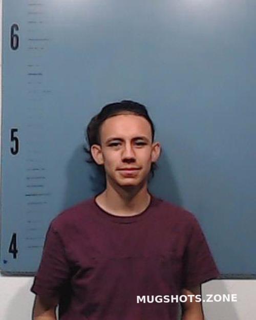 TORRES SIXTO DANIEL 06/30/2021 - Taylor County Mugshots Zone