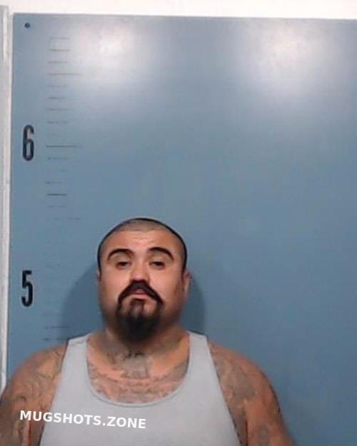 ROCHA JESUS MANUEL JR. 07/01/2021 - Taylor County Mugshots Zone