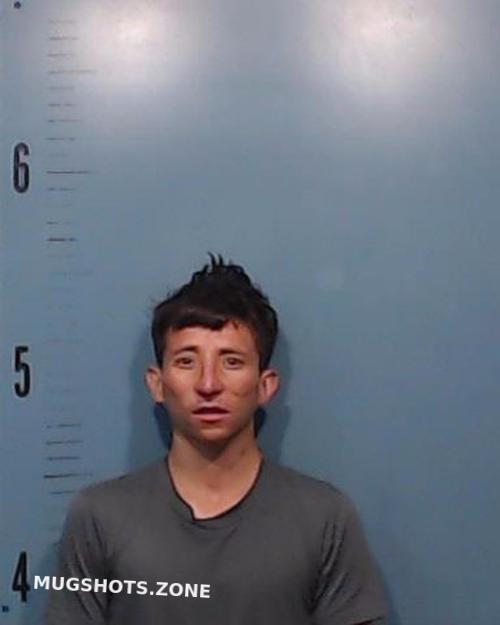 SEPEDA FRANK ASHER 07/16/2021 - Taylor County Mugshots Zone