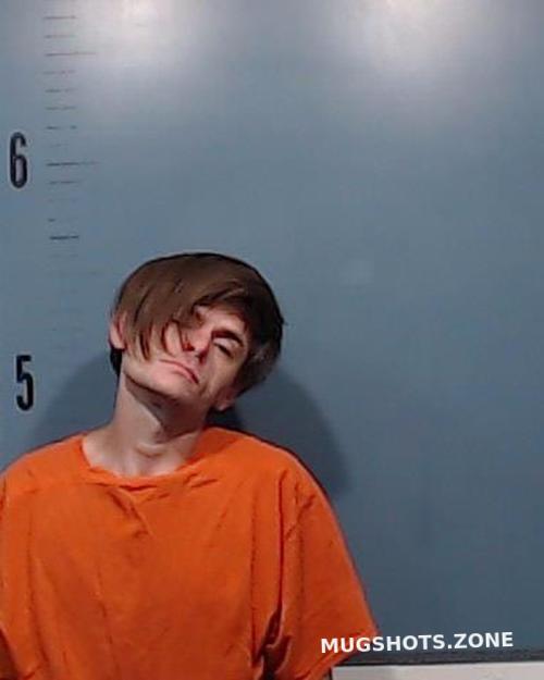 SMITH JOSHUA TYLER 08/05/2021 - Taylor County Mugshots Zone