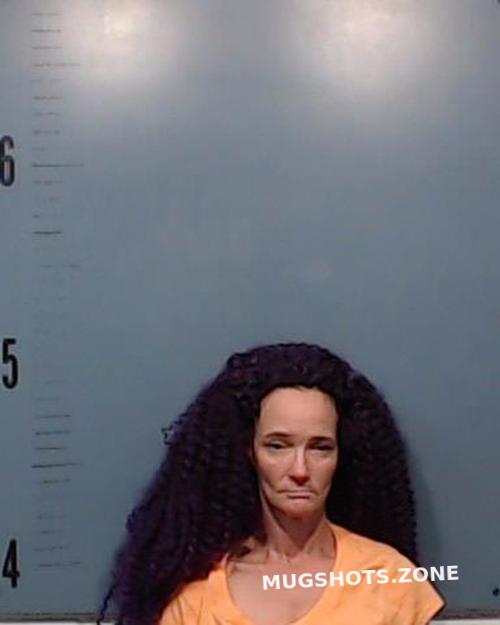 PIERCE SANDRA MICHELLE 09/03/2021 - Taylor County Mugshots Zone