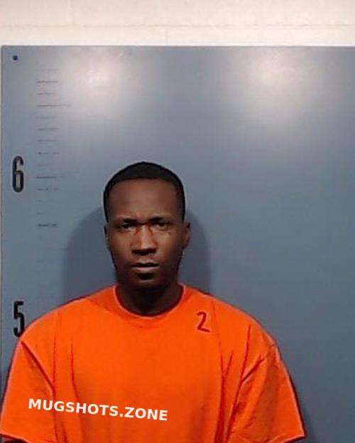 HUNTER JARVIS XYLON 11/08/2021 - Taylor County Mugshots Zone