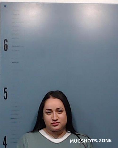 ALANIZ ASHLEY RENE 01/26/2022 - Taylor County Mugshots Zone