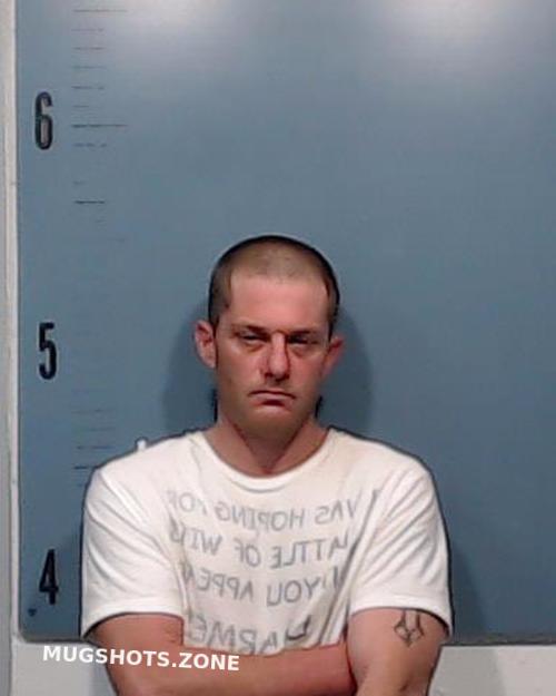 GOODWIN GRADY JOSEPH JR. 01/31/2022 - Taylor County Mugshots Zone