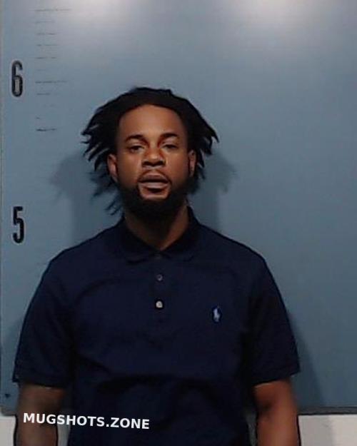 HARNESS JOSHUIA DAJON 03/14/2022 - Taylor County Mugshots Zone