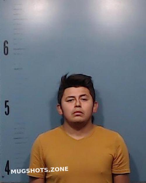 CHACON-ROCHA ADAN JESUS 04/19/2022 - Taylor County Mugshots Zone