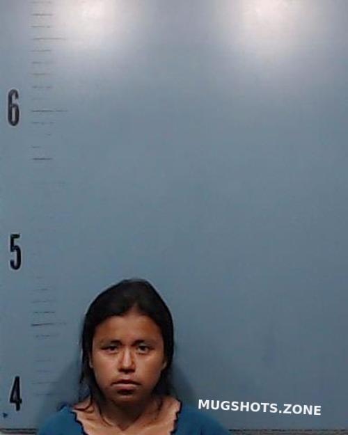 ORTEGA-CHAVEZ MARCELINA 04/22/2022 - Taylor County Mugshots Zone