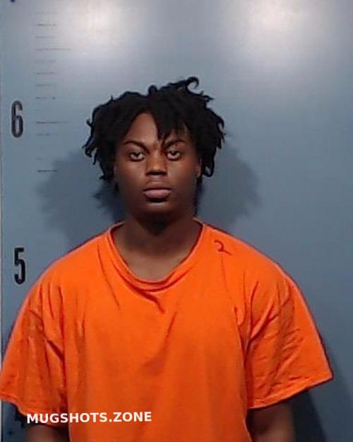 TAITE ETHAN MAXWELL 05/05/2022 - Taylor County Mugshots Zone