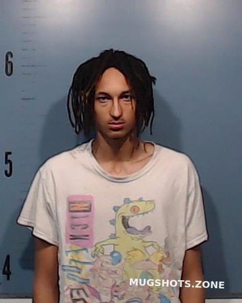 DRAKE JAIDYN DANIEL 05/29/2022 - Taylor County Mugshots Zone