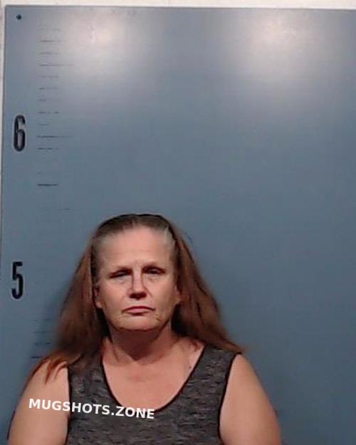 CHANEY CYNTHIA MICHELLE 06/05/2022 - Taylor County Mugshots Zone