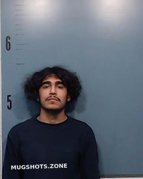 PALLAREZ TRISTAN RENE 06/11/2022 - Taylor County Mugshots Zone