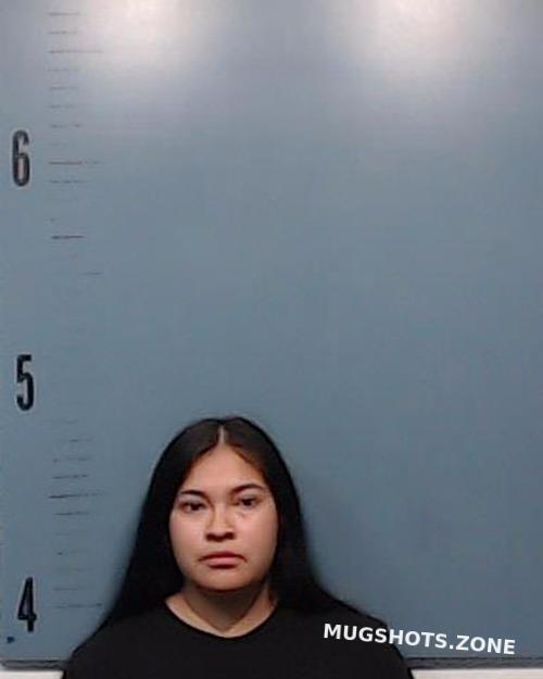 HERNANDEZ NADIA NICOLE 06/20/2022 - Taylor County Mugshots Zone