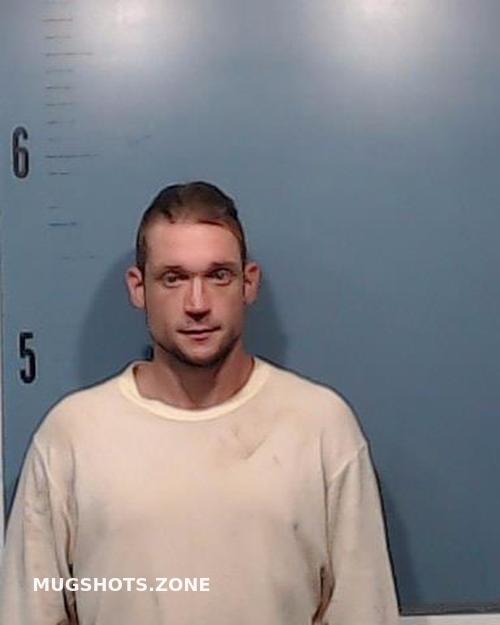 INGRAM CAMERON RAY 07/17/2022 - Taylor County Mugshots Zone