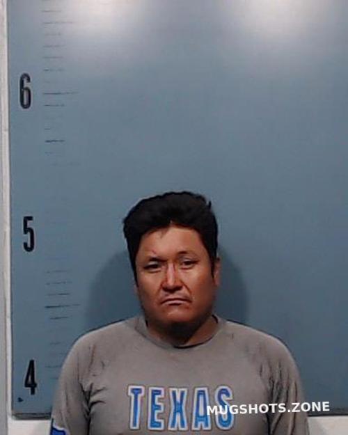 GUERRERO TERESO 08/25/2022 - Taylor County Mugshots Zone