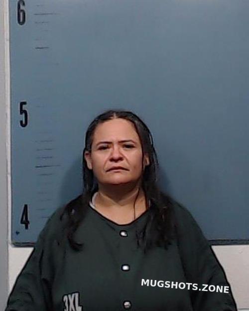 FERNANDEZ JESSICA LEANN 09/02/2022 - Taylor County Mugshots Zone