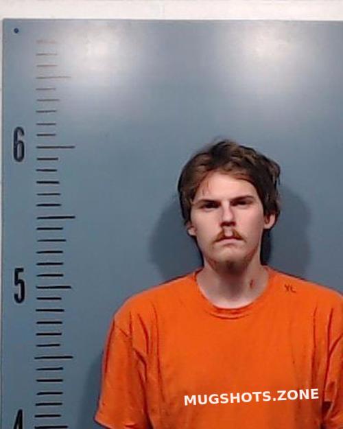 HILLEY ROGER ALAN JR. 09/18/2022 - Taylor County Mugshots Zone