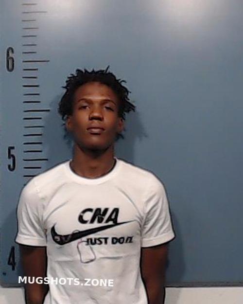 WILLIS DAYSHON HYKEEM 10/27/2022 - Taylor County Mugshots Zone
