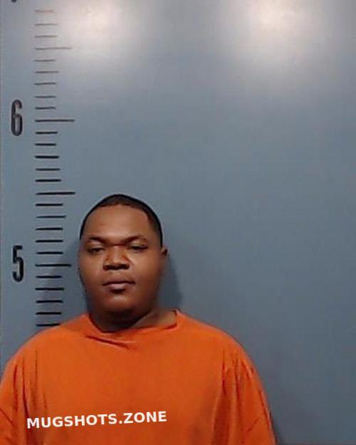 DULIN NICHOLAS AARON-DOUGLAS 11/15/2022 - Taylor County Mugshots Zone