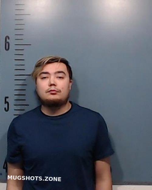 BROWN-ELLISON TYLER ELIJAH 12/11/2022 - Taylor County Mugshots Zone