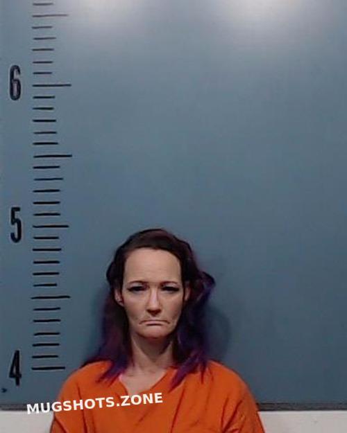 PIERCE SANDRA MICHELLE 01/11/2023 - Taylor County Mugshots Zone
