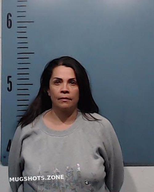 GALLION ELIDA ARELLANO 01/13/2023 - Taylor County Mugshots Zone