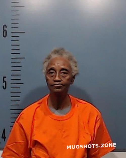 Cook Nancy Dawson 01 19 2023 Taylor County Mugshots Zone