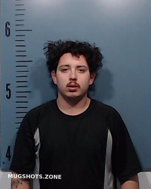 Sauceda Antonio Lee 01 27 2023 Taylor County Mugshots Zone